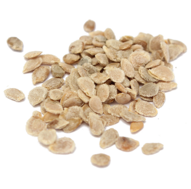 ¿Cómo cultivar Tomate? – El Brote Urbano